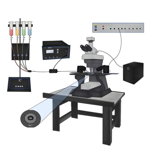 Microscope Set Up ALA Scientific