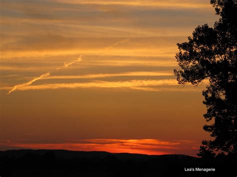 Leas Menagerie Sky Watching Sunset June 13 2013