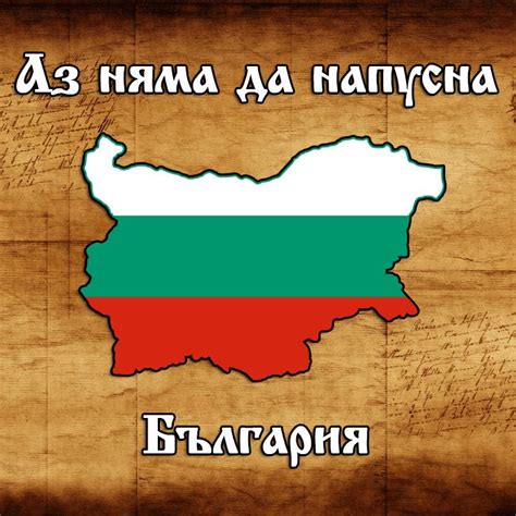 Аз няма да напусна България Черен отровен паяк Черна вдовица Latrodectus Tredecimguttatus