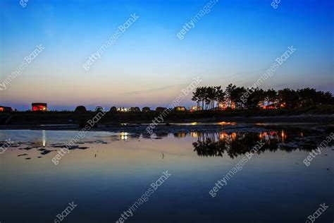 국립공원공원나무바다반영밤밤 시간 소나무식물실루엣실외야경운여해변자연조명충남침엽수캠핑태안군태안해안국립공원국립공원공원텐트풍경풍경 경치