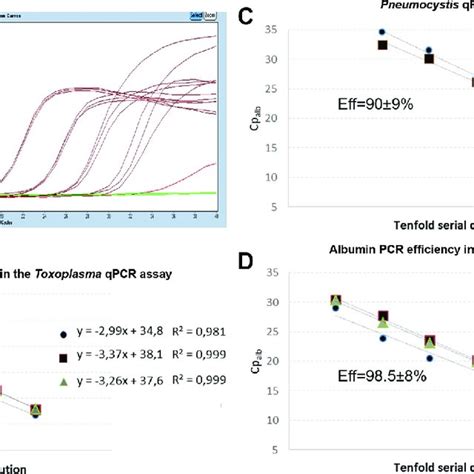 pcr efficiencies a lightcycler real time pcr amplification curves in