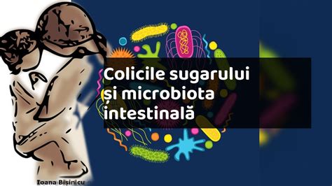 Colicile Sugarului Si Microbiota Intestinala Youtube