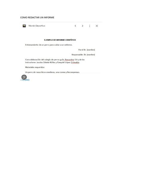 Como Redactar Un Informe Pdf