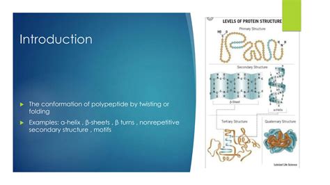 SOLUTION Secondary Structure Of Proteins Studypool