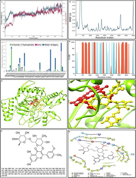 Molecular Docking Analyses And Md Simulation Analyses Of Scrutinized Download Scientific