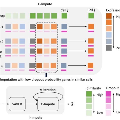 Lingxi Chen Computational Biologist Phd City University Of Hong Kong Hong Kong Cityu