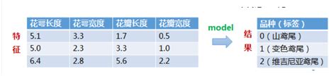 鸢（yuan）尾花分类任务 统计总共有多少种类型的纸鸢花 class csdn博客