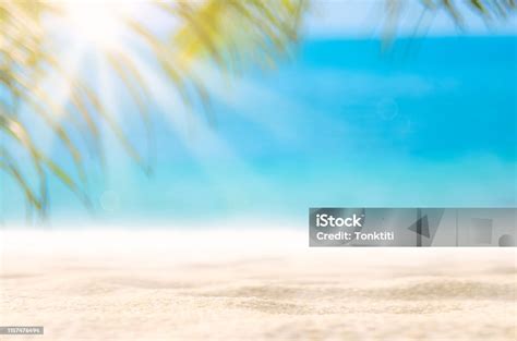 보케 태양 빛 파도 추상적 인 배경열대 해변에 아름다운 자연 녹색 야자수 잎을 흐리게 여름 휴가 및 비즈니스 여행 개념의 공간을 복사합니다 빈티지 톤 필터 효과 색상 스타일