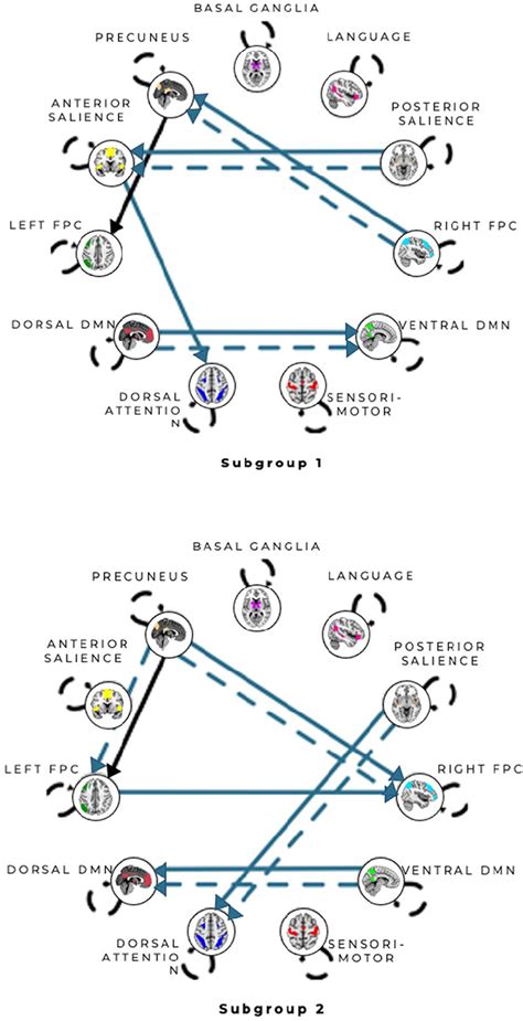 connectivity patterns for unsupervised subgroup solution for the anger