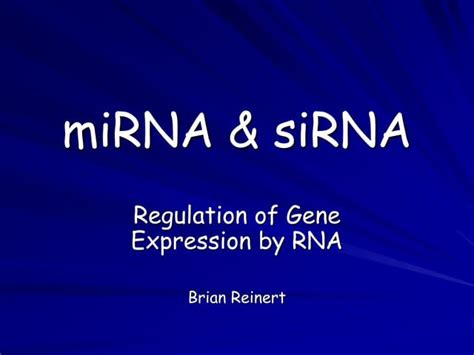 Microrna Small Noncoding Rna Features Ppt
