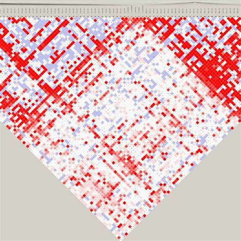 Figure S2a Ld Between Hla Alleles Top Five Conditional Snps And Snps