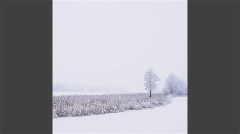 Empty Fields Youtube