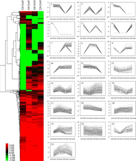 Rna Seq Based Transcriptome Dynamics Of ‘ Anliu Sweet Orange During