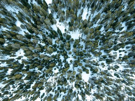implementing conway s game of life with react — part 2 by miguel