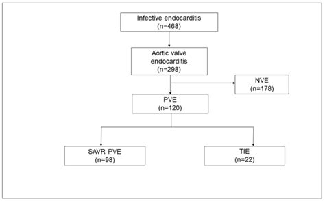 Case Load Of Infective Endocarditis From January 2013 To December 2020 Download Scientific