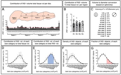 3d Quantification And Statistical Assessment Of The Complete Human 600