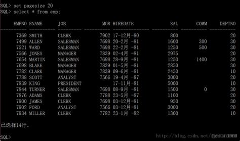 【oracle学习】之 在sqlplus设置格式 和 case when 和 decode 11398026的技术博客 51cto博客