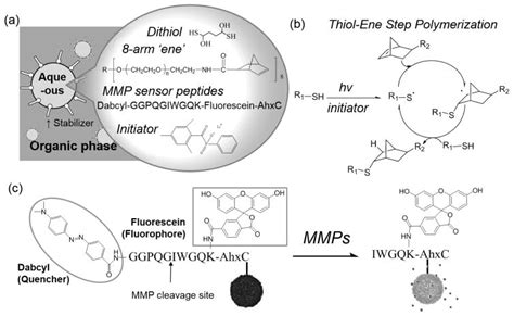 Synthesis Of Microgel Sensors For Spatial And Temporal Monitoring Of Protease Activity