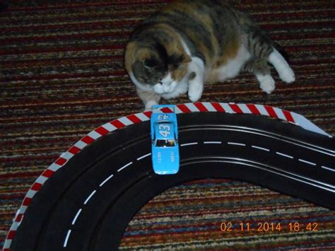 What Is The Perfect Definition Of Being Settled In Life Quora