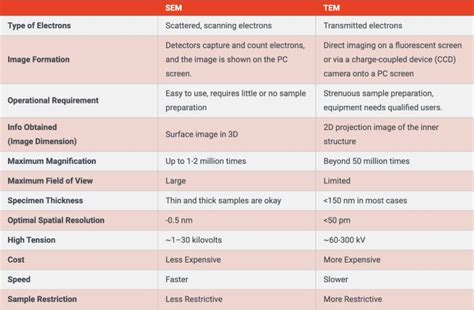 Electron Microscopy TEM Vs SEM NanoImages
