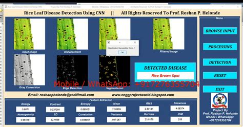 Rice Leaf Disease Detection Using Cnn Convolutional Neural Network