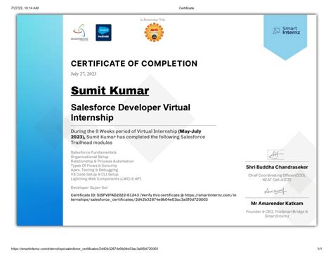 salesforce deloitte sumit kumar