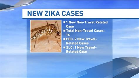 New Cases Of Zika In Palm Beach St Lucie Counties
