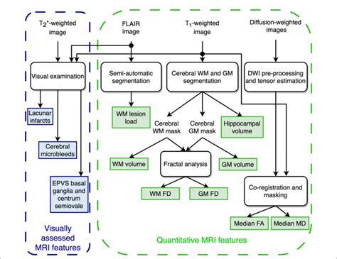 Figure Schematic Representation Of The Mri Features Extraction For