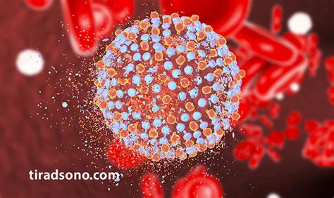 آیا هپاتیت C از طریق رابطه جنسی دهانی قابل انتقال است؟ تیراد