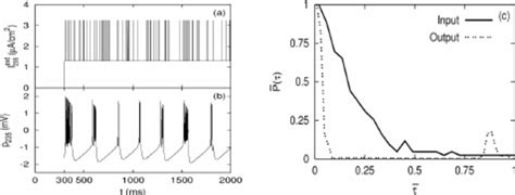 a poissonian electrical stimulation input its corresponding neural
