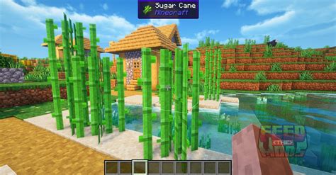 Wthit Mod 1 21 3 What Is That