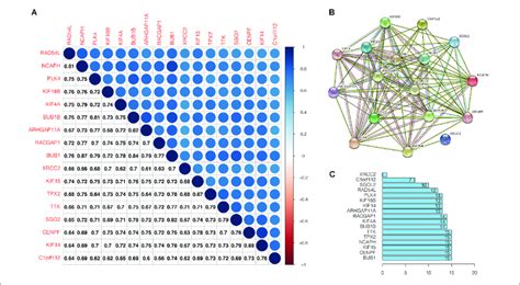 Correlation Analysis Of The Key Genes A Correlation Among The Key