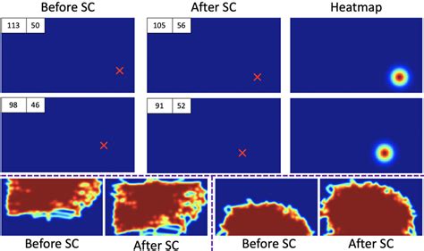 Example Results Of SC Module SC Is Able To Perform Translation On Download Scientific Diagram