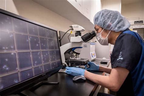 How Modern Technology Impacts Male Fertility Is Your Smartphone Affecting Your Sperm Count