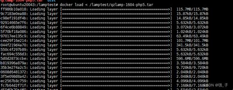 docker制作lamp镜像并在其他机器上部署 docker lamp csdn博客