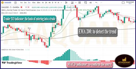 Trader Xo Macro Trading Strategy Ataquant Advanced Expert And Indicator Programming For