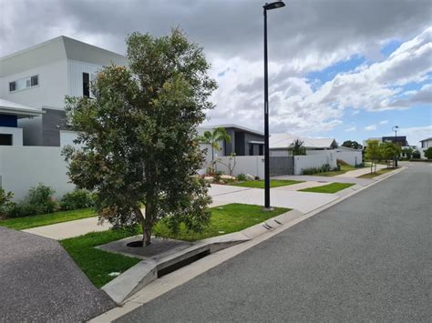 How Urban Trees Prevent Flooding Citygreen