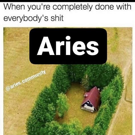 50 Best Aries Memes That Describe This Zodiac Sign Artofit
