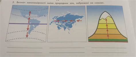 3 Визнач закономірності зміни природних зон зображені на схемах Школьные Знания Com