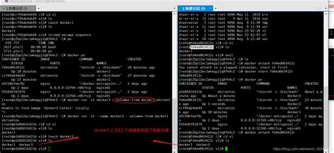 Docker数据卷容器 实现两个或多个容器之间的数据同步 Docker 两个mysql容器挂载同一个volume数据是否互通 Csdn博客