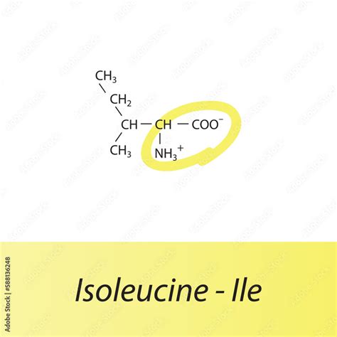 Isoleucine Ile I Amino Acid Structure Skeletal Formula With Amino