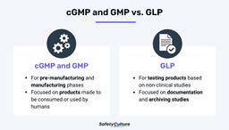 Current Good Manufacturing Practice Cgmp Safetyculture