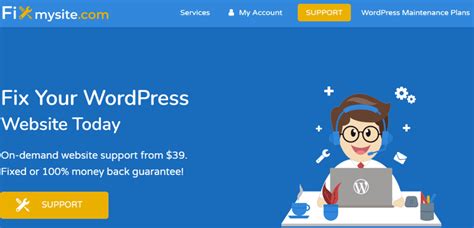 Best Wordpress Speed Optimization Services For 2024