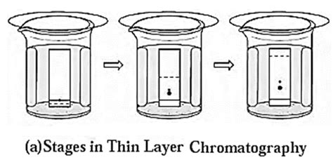 Notes Class 11 Science Chemistry Chapter 3 Basic Analytical Techniques