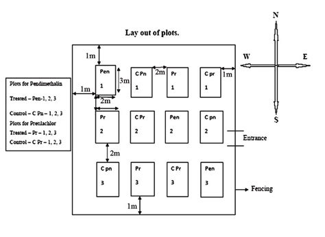 Layout Of Plots Used For Field Study In Each Session Download Scientific Diagram