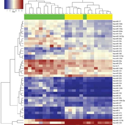 Unsupervised Hierarchial Clustering Of 12 Paired Stage Iii Colorectal Download Scientific