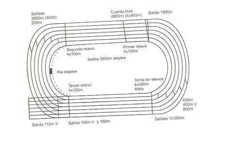 Dimensiones De La Pista De Atletismo