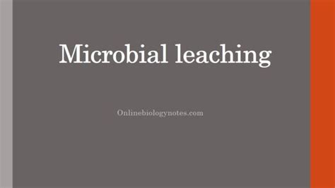 Microbial Leaching Online Biology Notes