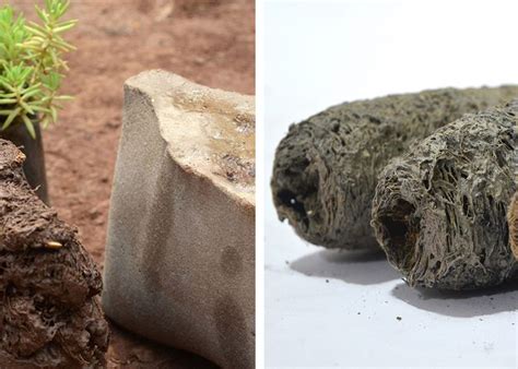 Charcoal Bio Bricks Fiona Lynch