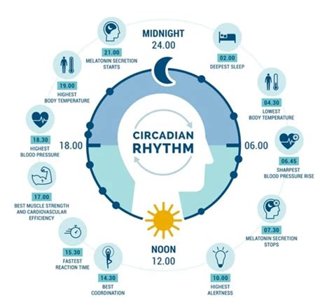 Does Springing Forward Hold Us Back The Debate Surrounding Daylight